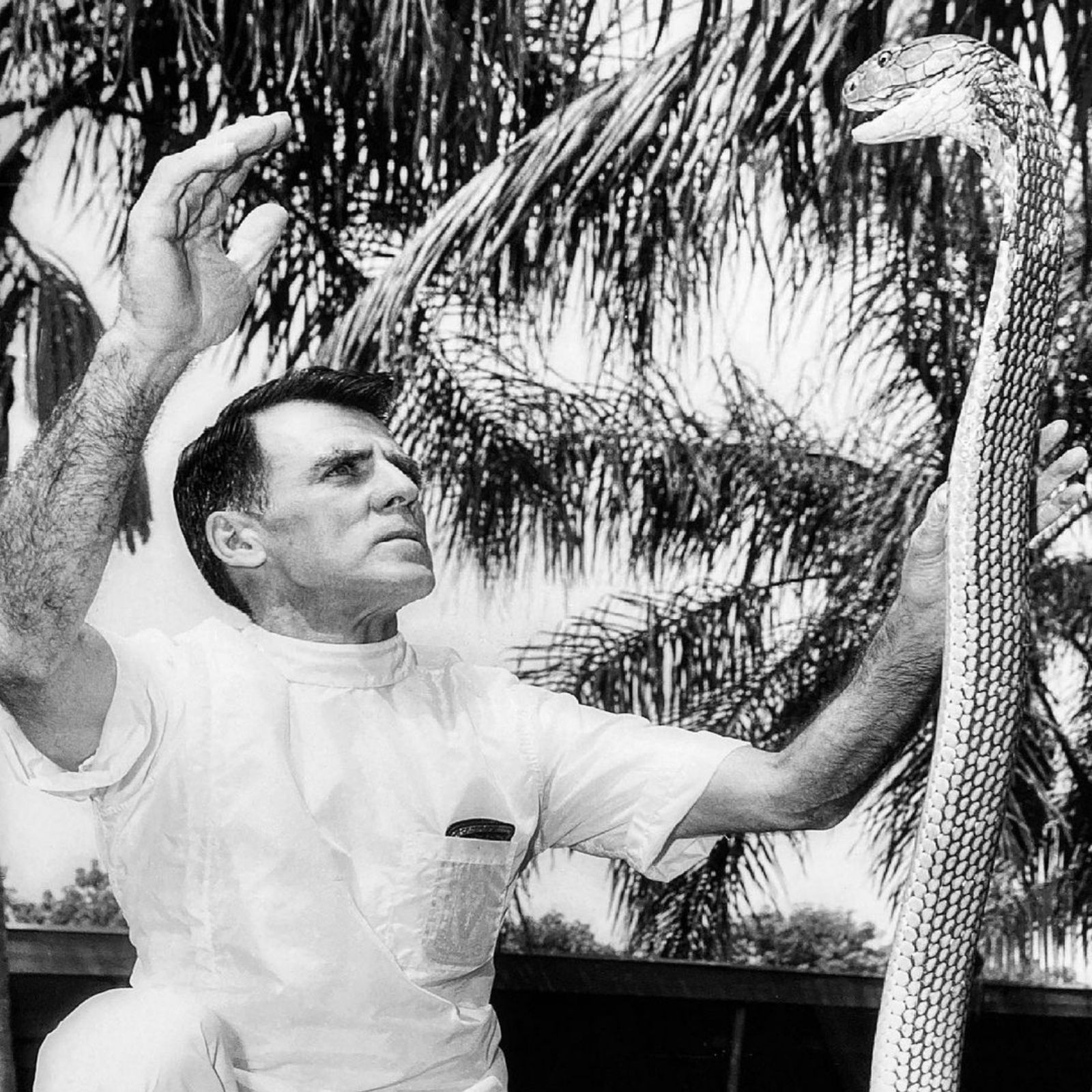 खुद को 173 से भी ज्यादा सांपों से कटवा चुका है शख्स! रियल लाइफ 'नागराज ...