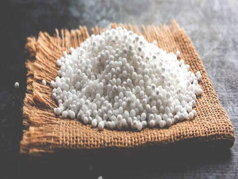 Sabudana making process and its benefits neer - पेड़ के गूदे से बनता है ...