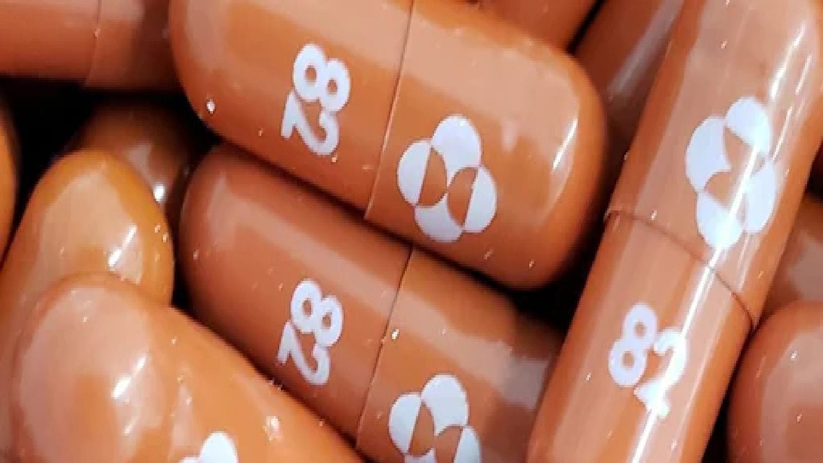 Explained: molnupiravir-एंटीवायरल गोली क्या है? covid-19 में कैसे होगी ...
