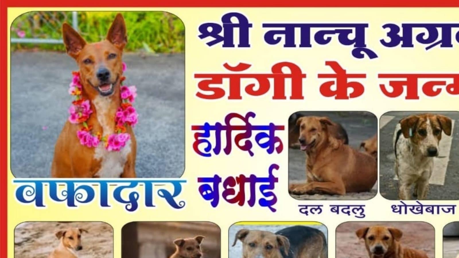 पालतू डॉगी 'वफादार' के बर्थडे पर लगा होर्डिंग, दोस्तों को मिले ऐसे नाम ...