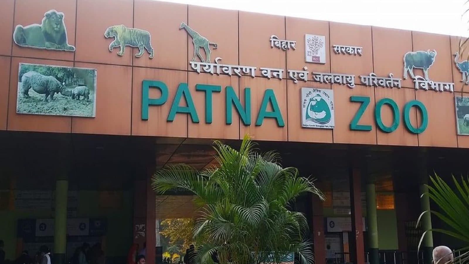 कोरोना काल में नहीं जा पा रहे हैं चिड़ियाघर तो अब चिंता न करें, घर बैठे ...