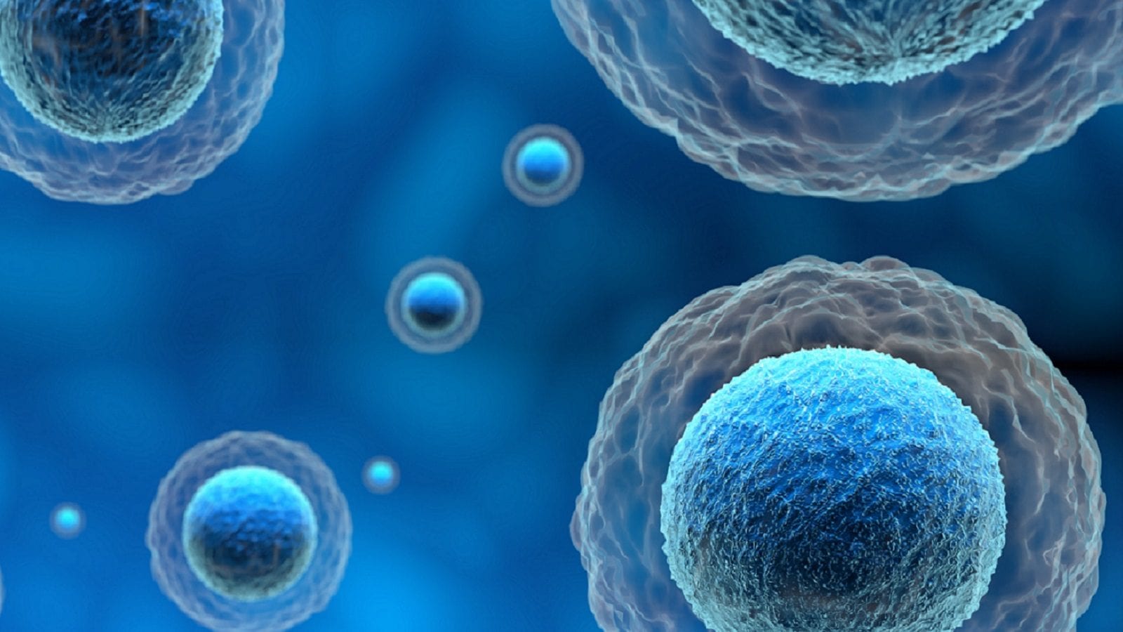 नहीं पता थी वैज्ञानिकों को इतनी सी बात, जानिए कैसे खाना खाती हैं ...