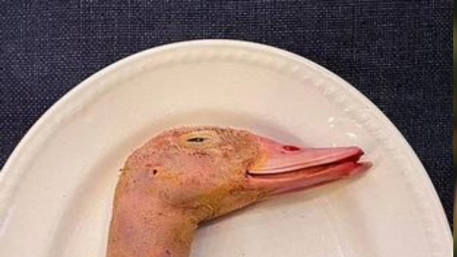 Restaurant serving stuffed ducks neck leaves some diners horrified ...