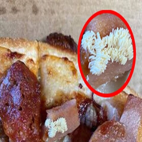 नामचीन पिज्जा हाउस के ऑर्डर से निकला कीड़ा, देखते ही लोग करने लगे उल्टी ...