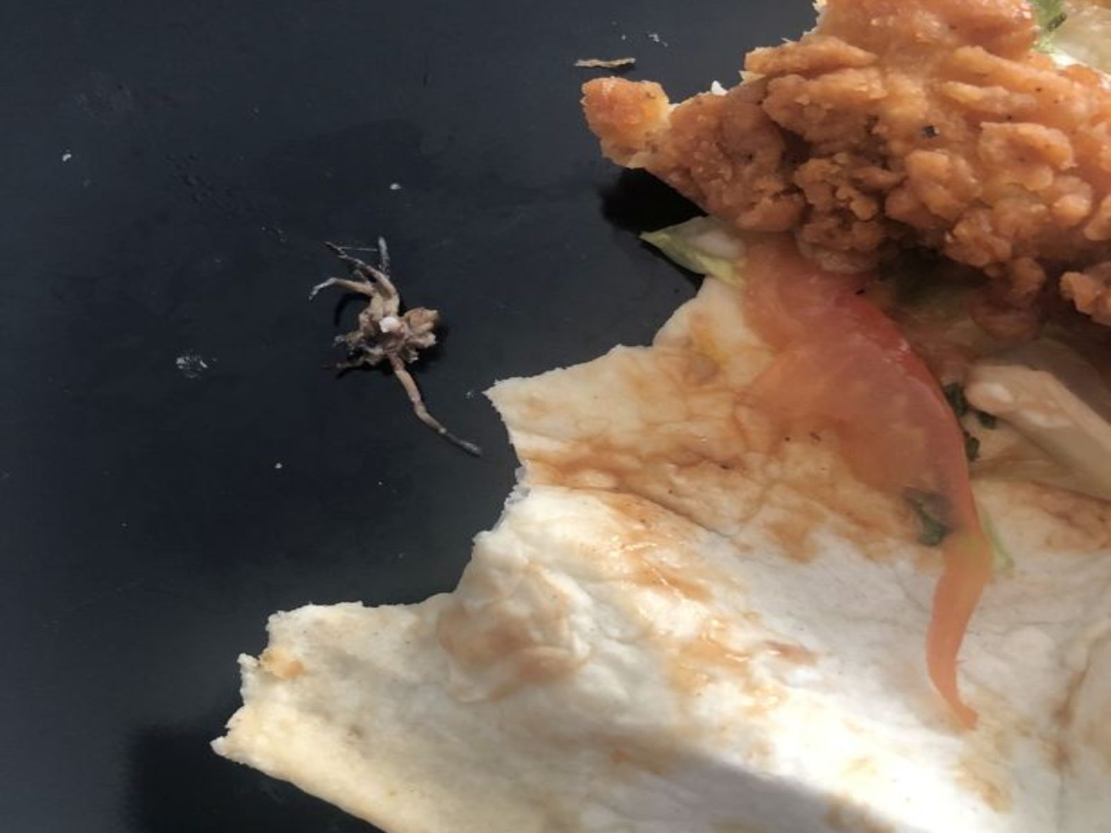 Woman starts vomiting eating spider hidden inside chicken wrap sankri ...