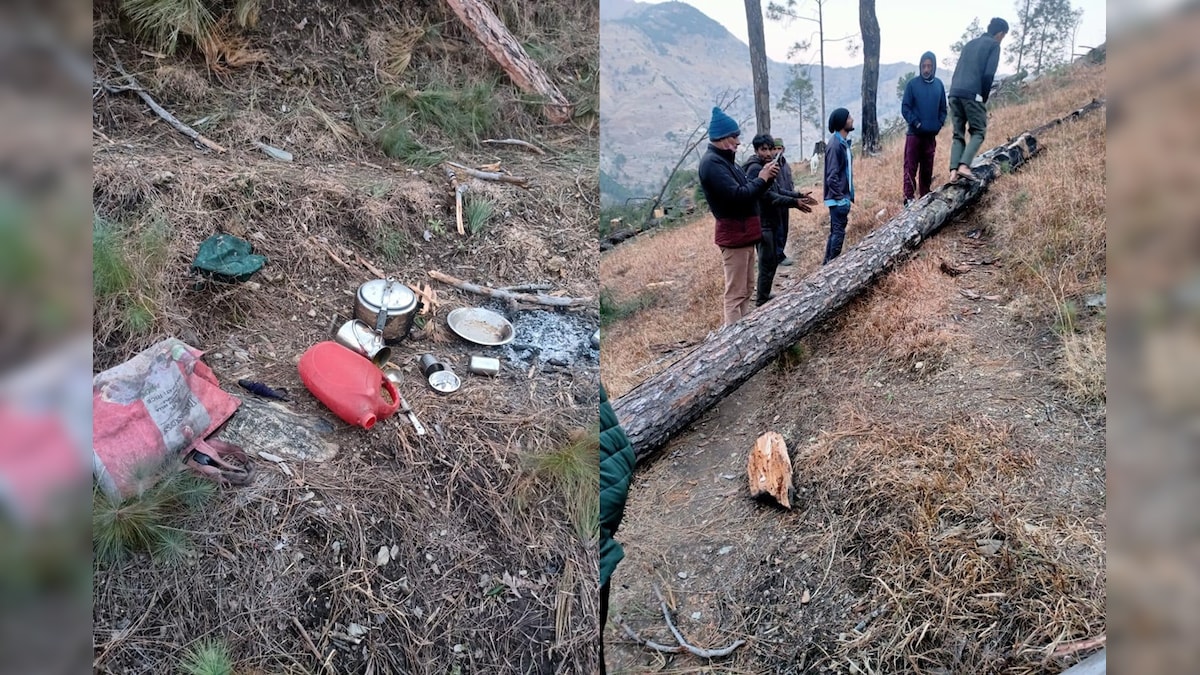 शिमला में बेटे को गोद में बैठाकर खाना खिला रही थी मां, ऊपर से गिरा पेड़ ...