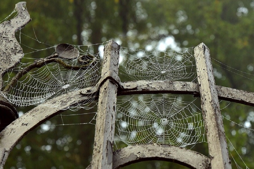 Navrasa emotions the feeling of bhayanak ras which came before love and ...