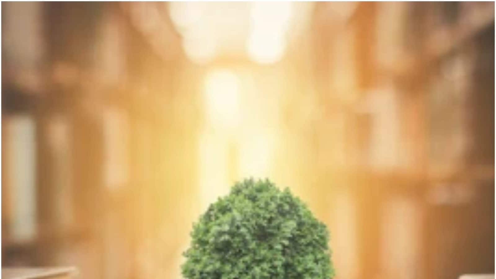 General knowledge full forms of vip vvip difference gk update for ...