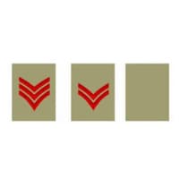 सितारों से पहचानें CISF अधिकारियों की रैंक और जानें वहां तक पहुंचने का ...