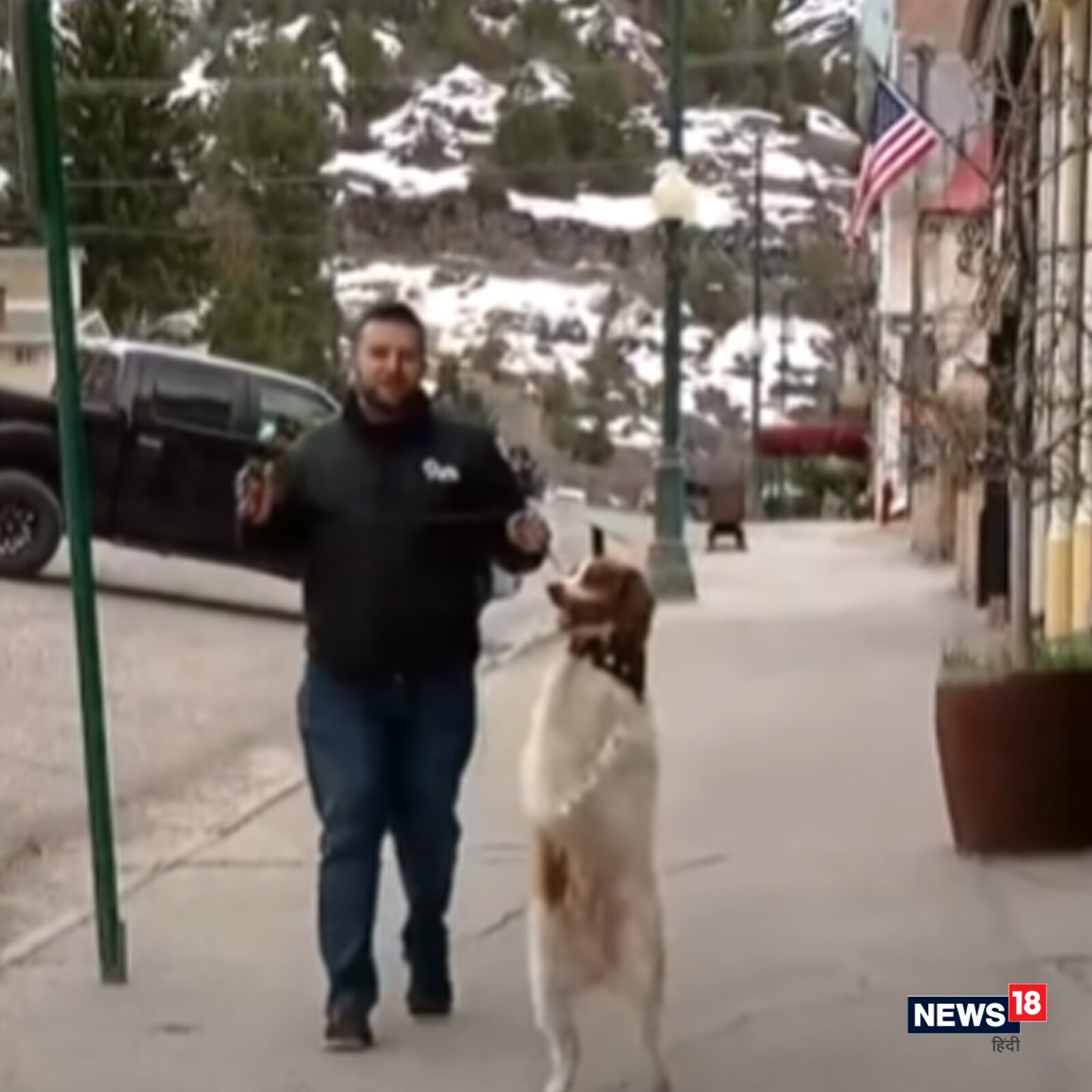 इंसानों की तरह दो पैर पर चलता है ये कुत्ता, 1 एक्सीडेंट ने बदल दी पूरी ...