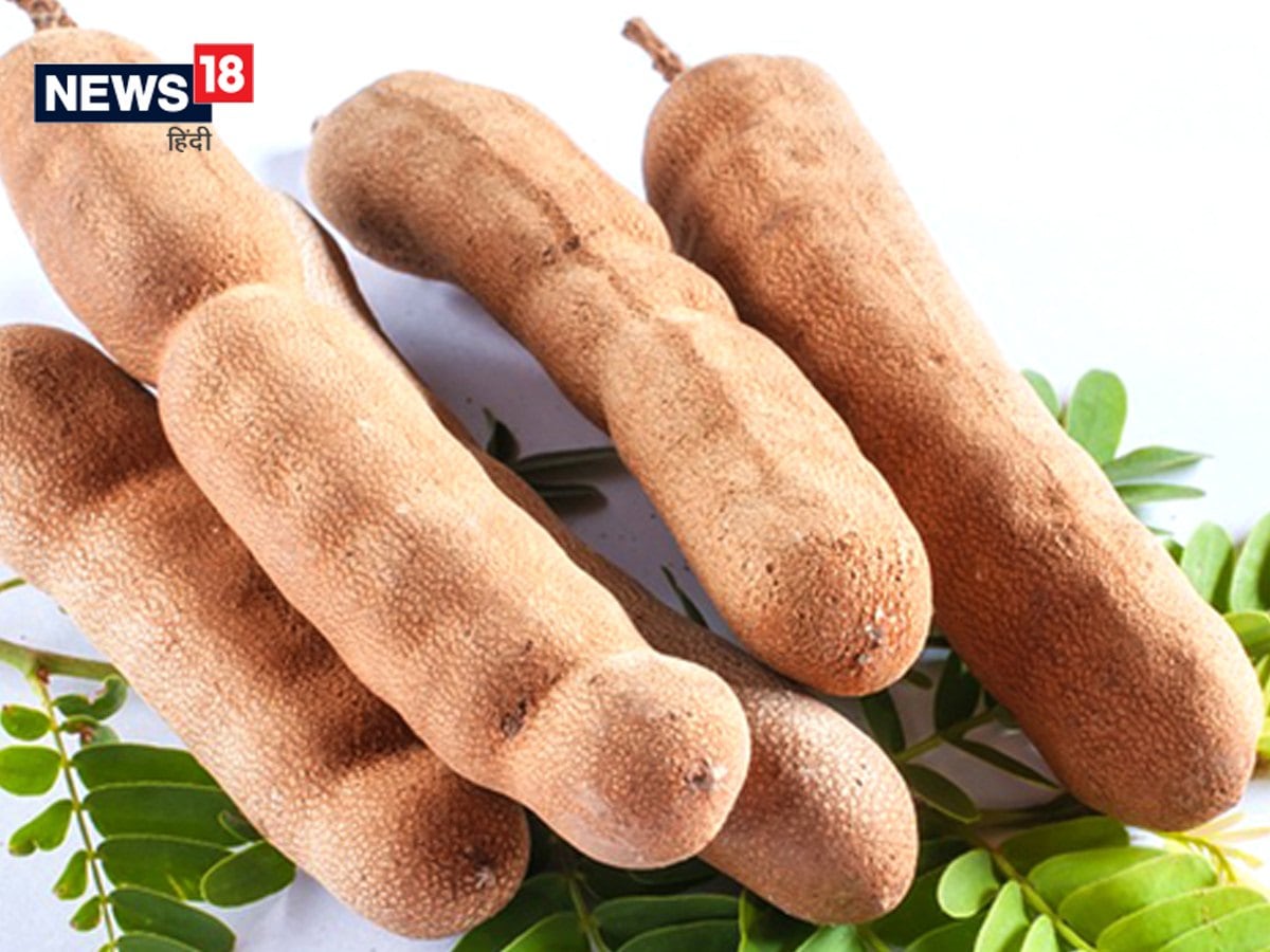 इमली के बिना भारतीय खाने का स्वाद है 'अधूरा', जानें इससे जुड़ी कुछ बेहद ...