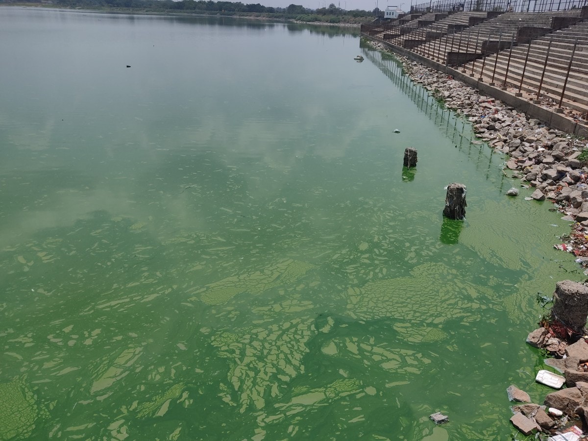 पानी पिलाएगा मॉनसून: कांके डैम का जलस्तर डेंजर जोन में, राजधानी में ...