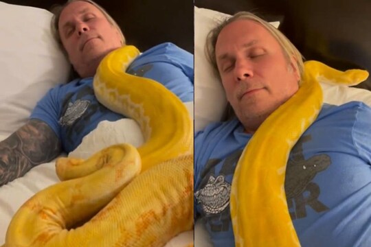 Video : विशालकाय अजगरों के साथ चैन से सोता दिखा शख्स, देखने वालों के ...