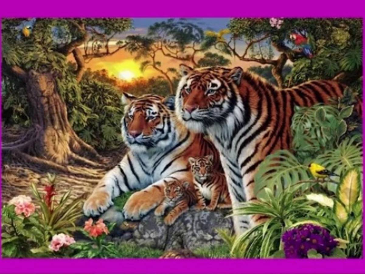 जंगल की इस तस्वीर में कितने टाइगर्स देख पाए आप ? सिर्फ 1% लोगों को दिखे ...