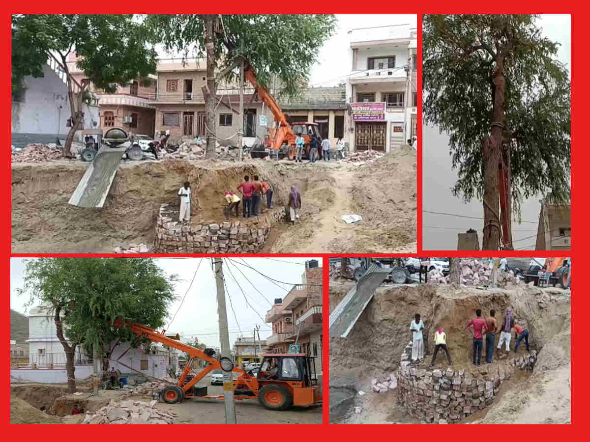 Trending News Example Of Environmental Protection To Save 1 Tree Of 