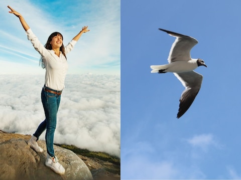 पक्षियों की तरह क्यों नहीं उड़ पाते इंसान? सिर्फ पंख ना होना नहीं है ...