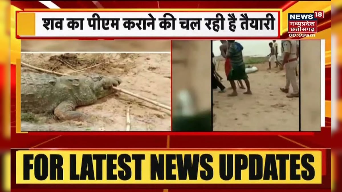 Chambal River में नहाने उतरे बच्चे को Crocodile ने बनाया शिकार, पानी ...