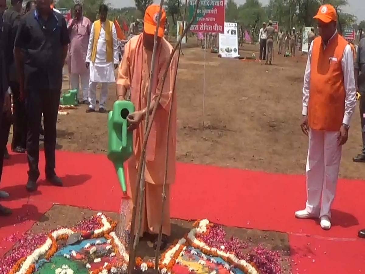 सीएम योगी ने हरिशंकरी का पौधा लगाकर शुरू किया वन महोत्सव, बोले- 6 साल ...