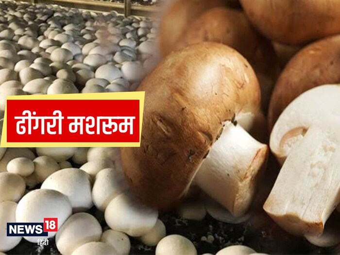 हेल्दी और फिट रहने के लिए ट्राई करें ये मानसून फूड्स, स्वाद में भी हैं ...