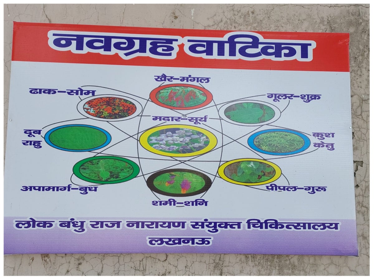 Lucknow: लोकबंधु अस्‍पातल में बनी 'नवग्रह वाटिका', जानें क्‍यों डॉक्टर ...