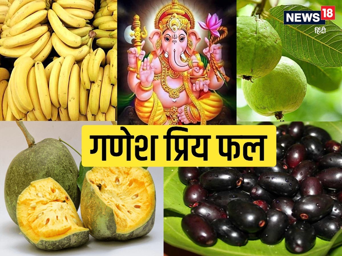 भगवान गणेश को अति प्रिय हैं ये 5 फल, बुधवार के दिन जरूर चढ़ाएं - offer ...