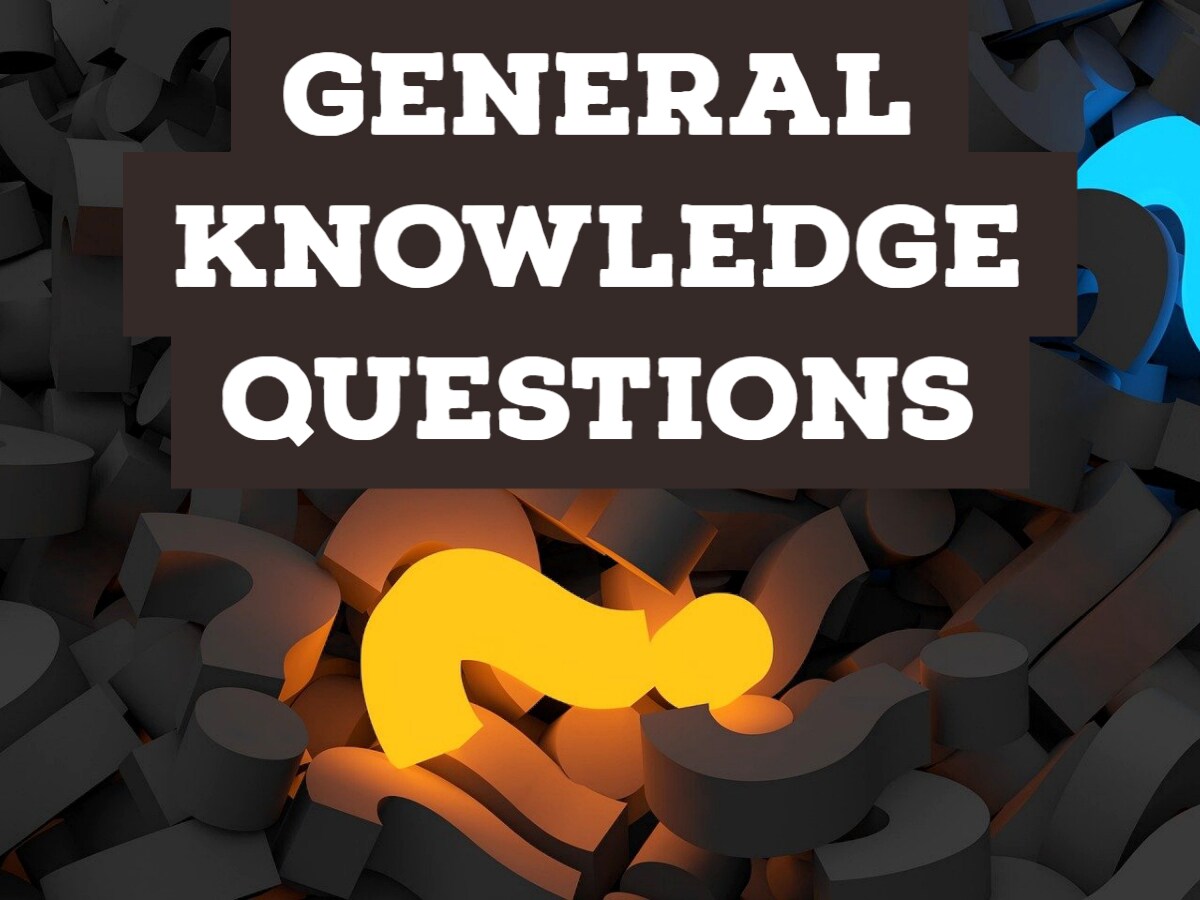 General Knowledge : Twitter का क्या है पूरा मतलब ? कहां से निकलती है ...