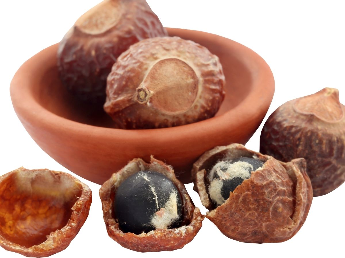 मेंस हेयर के लिए भी बेस्ट है रीठा मिलते हैं कई सारे फायदे - benefits of ...