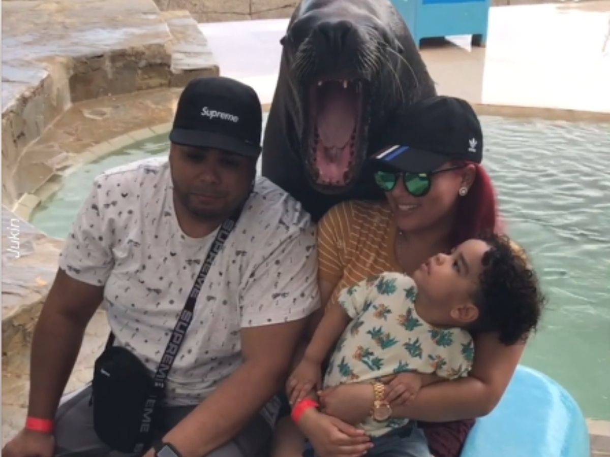 इंसानों के साथ फोटो के लिए पोज करते दिखी सील, कभी स्माइल किया तो कभी ...