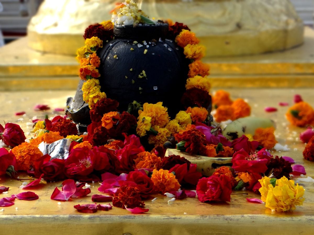 सावन में शिवजी को चढ़ाएं अरहर और तिल समेत ये 5 अनाज, जानें ‘शिवा मुट्ठी ...