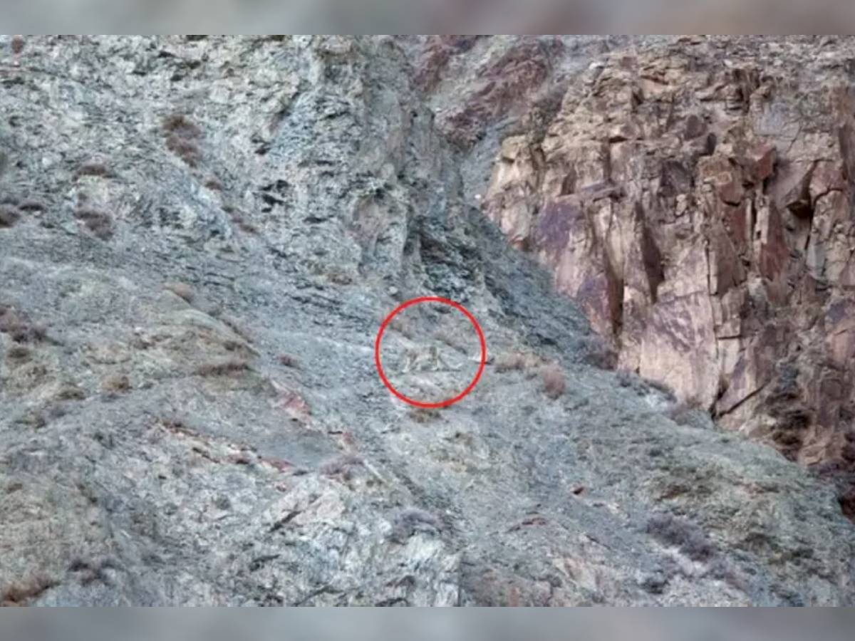 पहाड़ों के बीच छिपा हुआ है तेंदुआ, ढूंढ निकालने के लिए वक्त है सिर्फ 15 ... पहाड़ों के बीच छिपा हुआ है तेंदुआ, ढूंढ निकालने के लिए वक्त है सिर्फ 15 ...