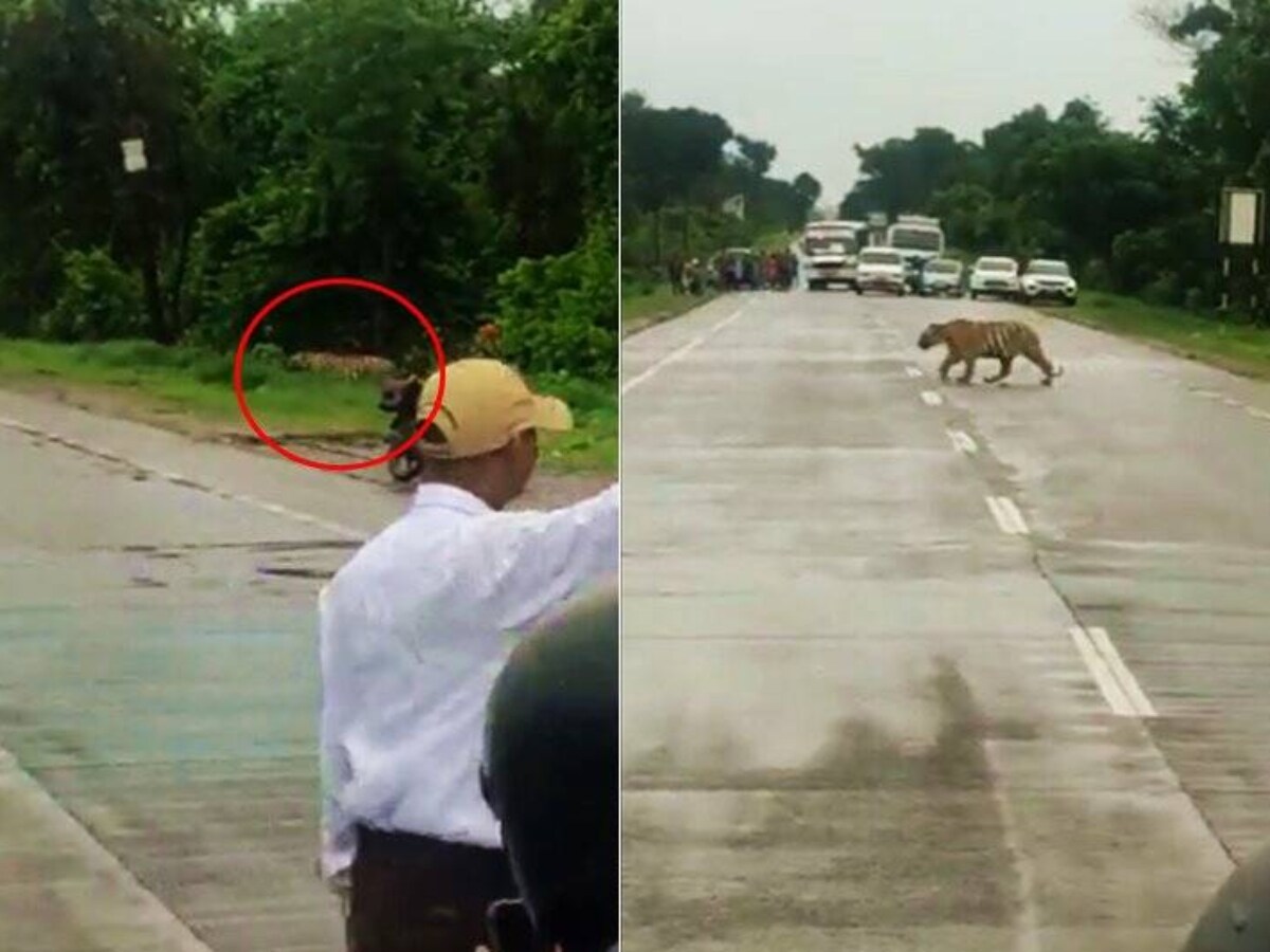 ट्रैफिक पुलिस ने अचानक रुकवा दी दोनों साइड की गाड़ियां, फिर बीच से ...