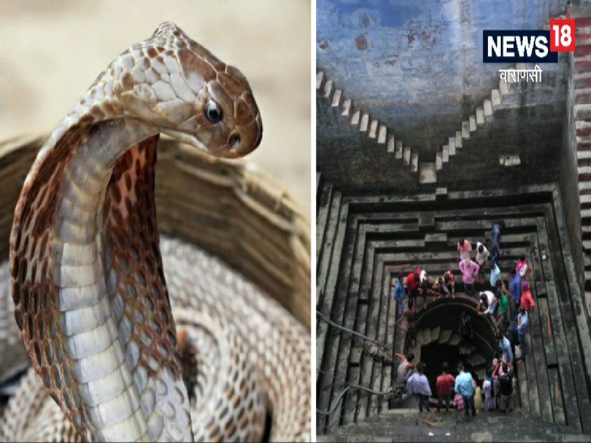 Nag Panchami: काशी के जैतपुर का रहस्यमयी नाग कुआं, दूर होता है सर्प दोष ...