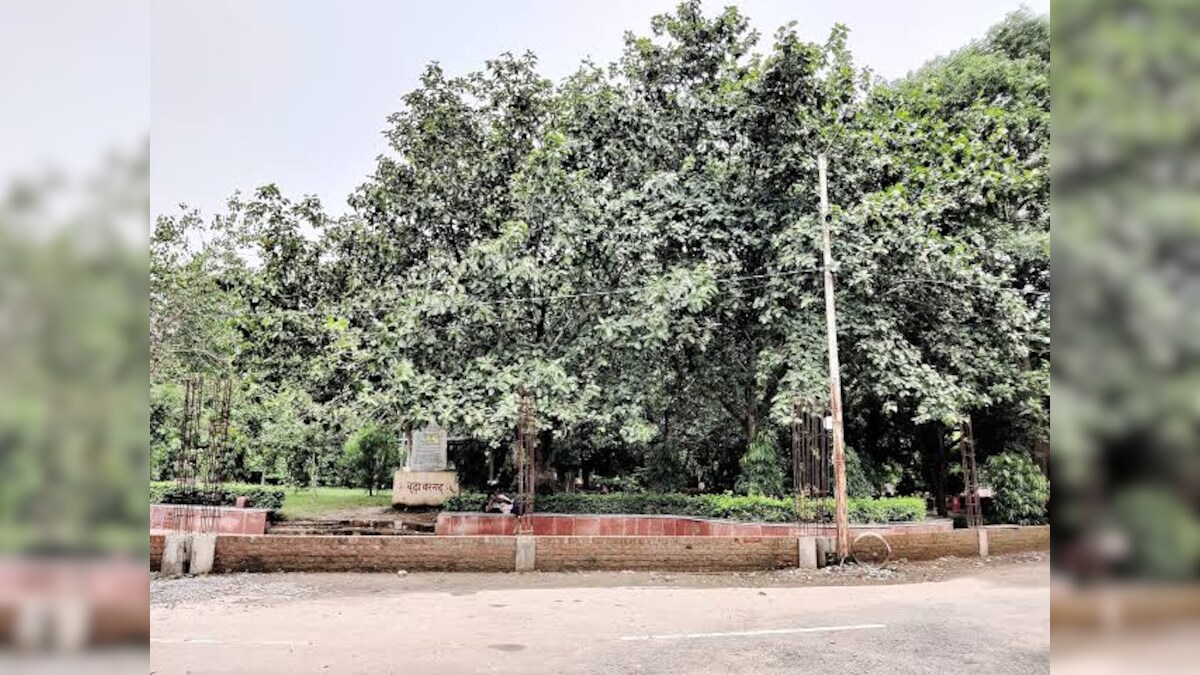 जब 133 क्रांतिकारियों को बरगद की शाखाओं पर दी गई थी फांसी, जानें कानपुर ...