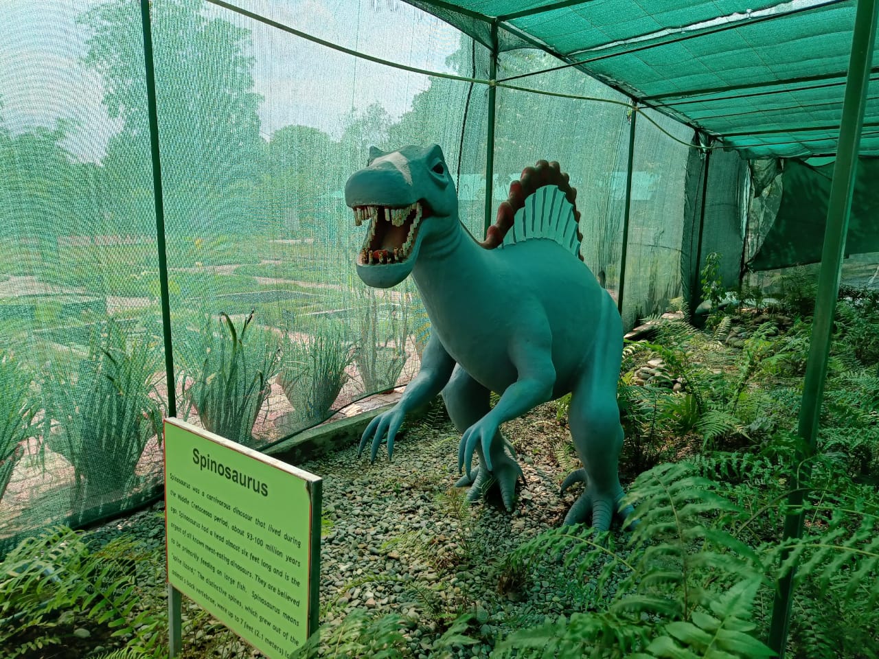 Jurassic Park: हल्द्वानी में देश का पहला 'जुरासिक पार्क' तैयार, इतने ...
