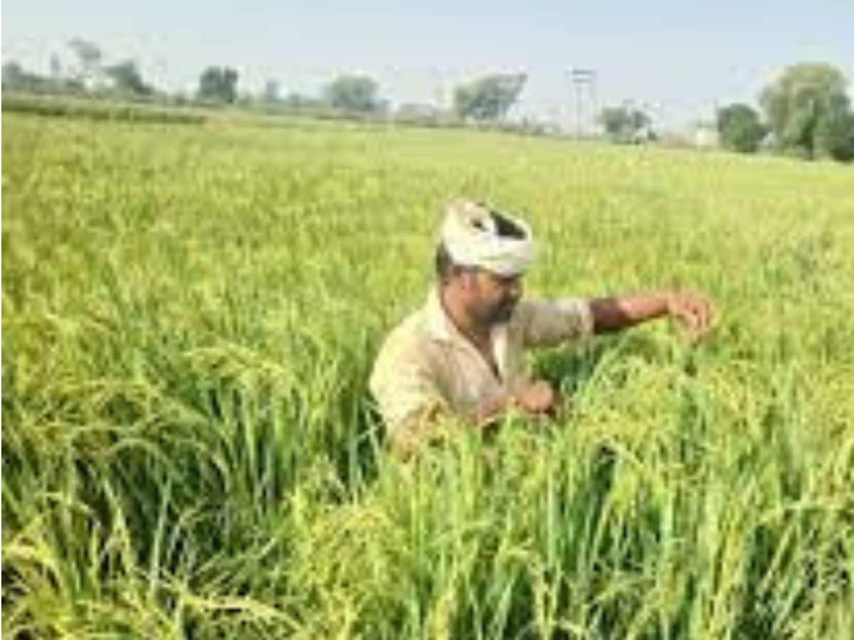 PM Kisan: केवाईसी करने के लिए बचे हैं बस 5 दिन, नहीं करने पर होने वाला ...