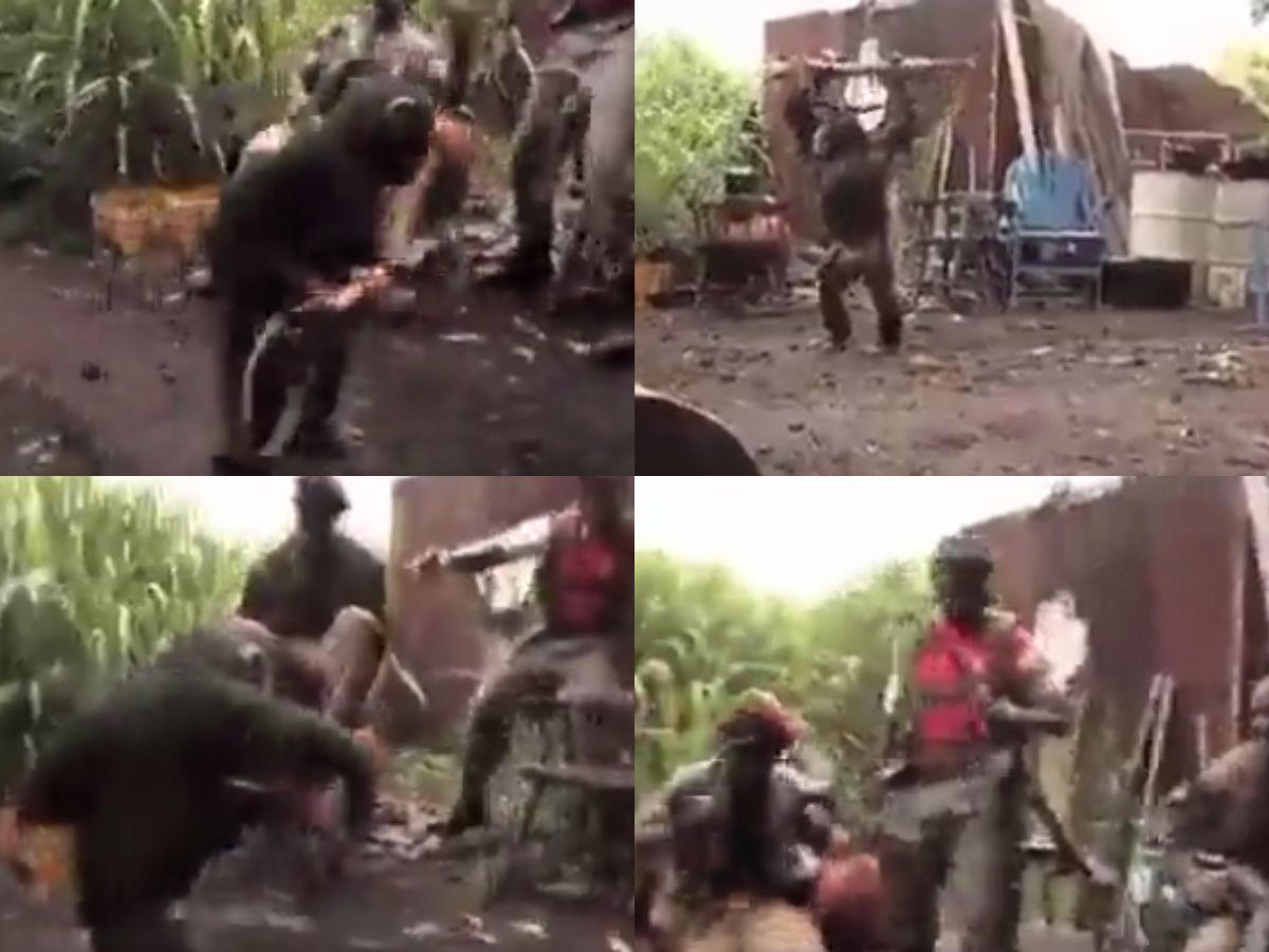 चिंपांजी ने चला दी इंसानों पर बंदूक, वीडियो शेयर कर IAS अधिकारी ने कहा- 'इसलिए दोस्त बनाने में ...