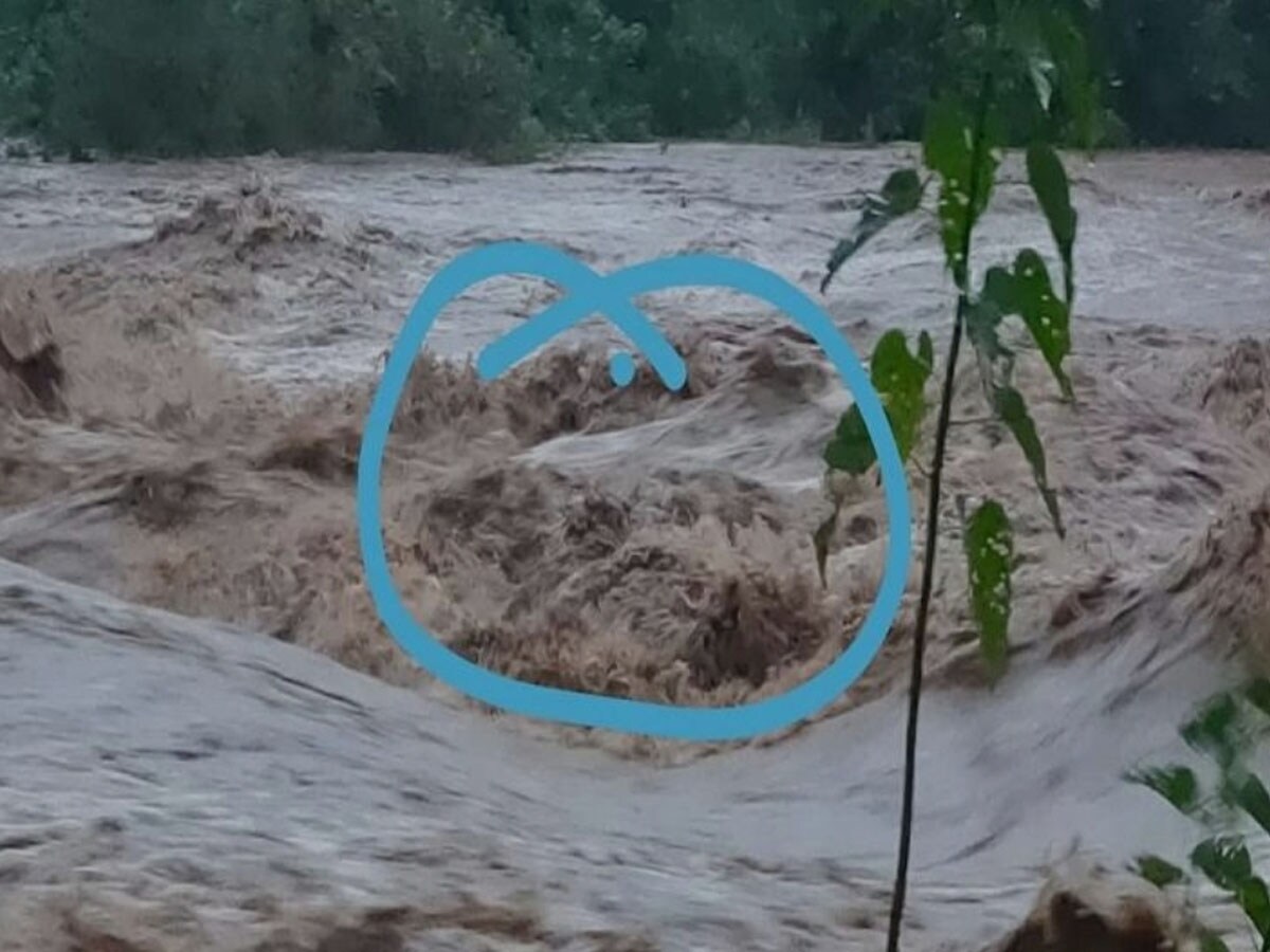 नदी की उफनती धारा में जिंदगी की जंग, एक भाई जीता दूसरा हारा... - two ...