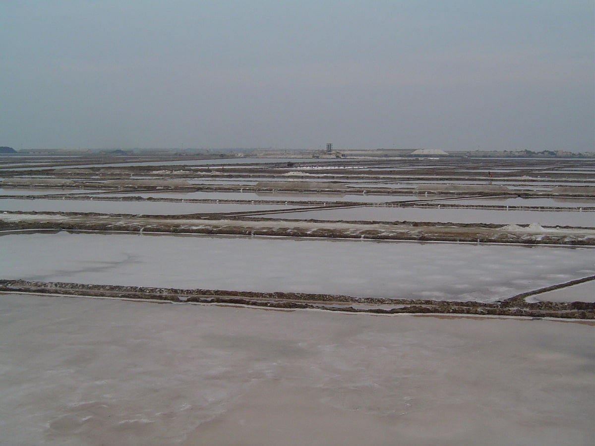 Explainer : भारत में अब कौन है नमक का दारोगा, क्या होता है इसका रोल ...