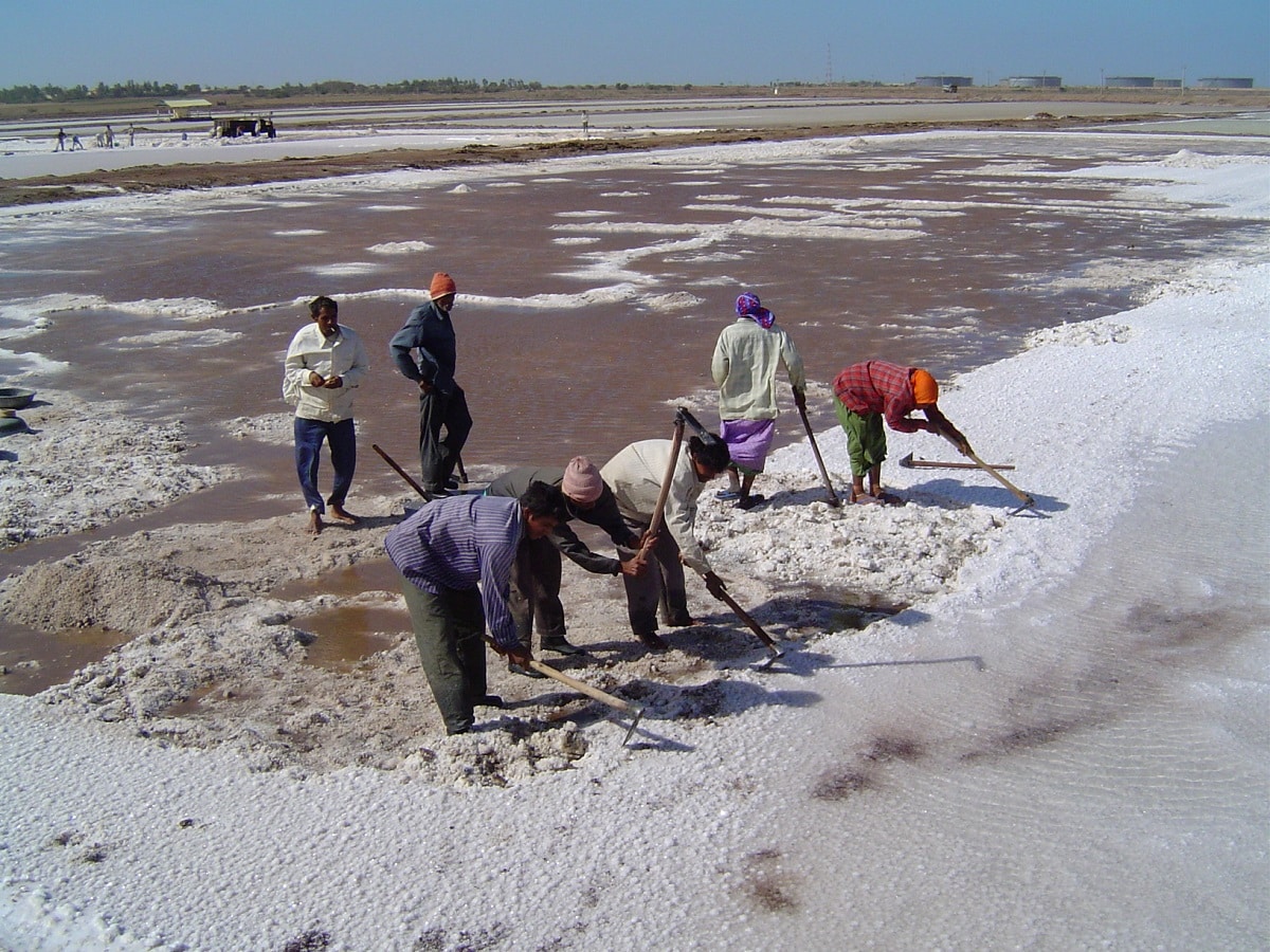 Explainer : भारत में अब कौन है नमक का दारोगा, क्या होता है इसका रोल ...