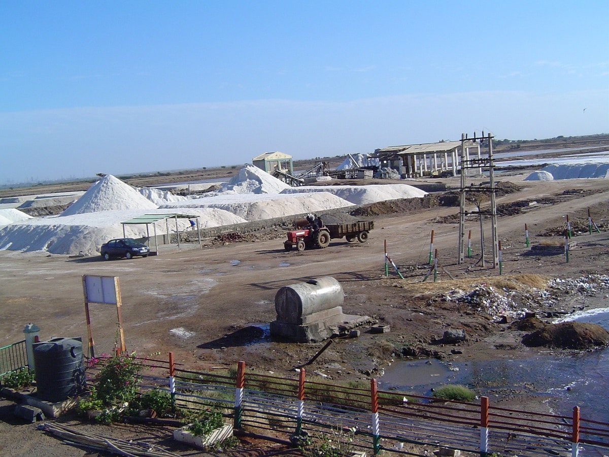 Explainer : भारत में अब कौन है नमक का दारोगा, क्या होता है इसका रोल ...