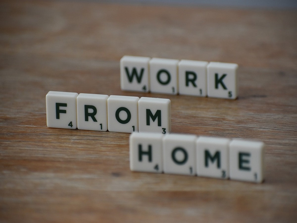 Work From Home Jobs: घर बैठे कमा सकते हैं लाखों, इन फील्ड में बनाएं ...