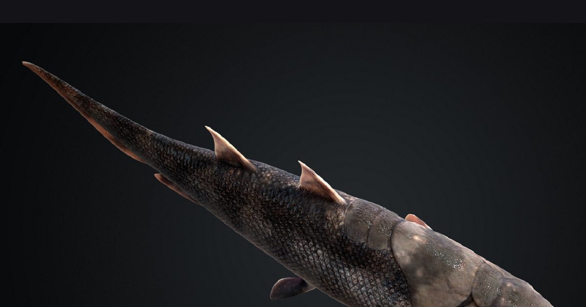 इंसान को कैसे मिले थे चबाने वाले जबड़े, मछली के जीवाश्म ने दिया जवाब ...