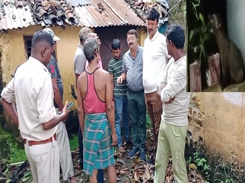 मुंगेली में दहशत! घरों में घुस रहा कब्र खोदकर लाशों को खाने वाला यह जीव ...
