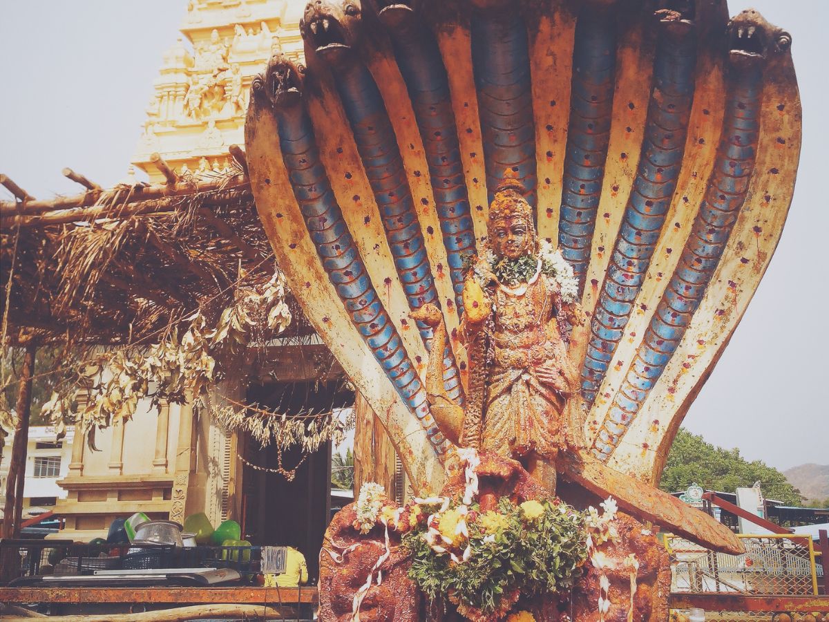 महादेव के पुत्र कार्तिकेय ही क्‍यों माने जाते हैं देवताओं के सेनापति ...