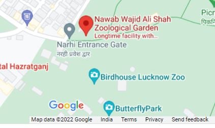 Lucknow Zoo: लखनऊ जू का उल्लू घर बना आकर्षण का केंद्र, दिवाली और ...