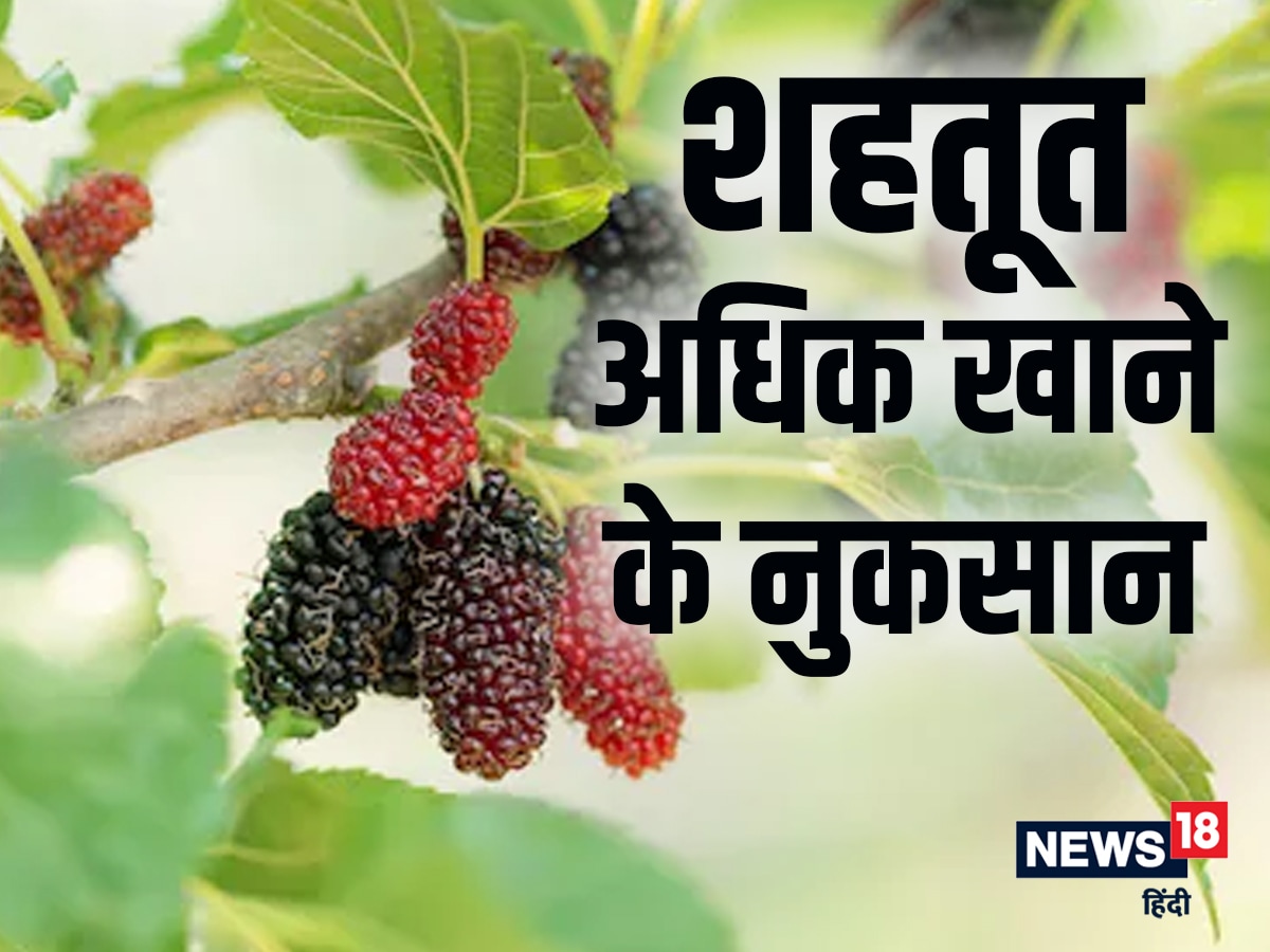 शहतूत खाएंगे ज्यादा तो कम हो जाएगा शुगर लेवल, किडनी के साथ सेहत को ...