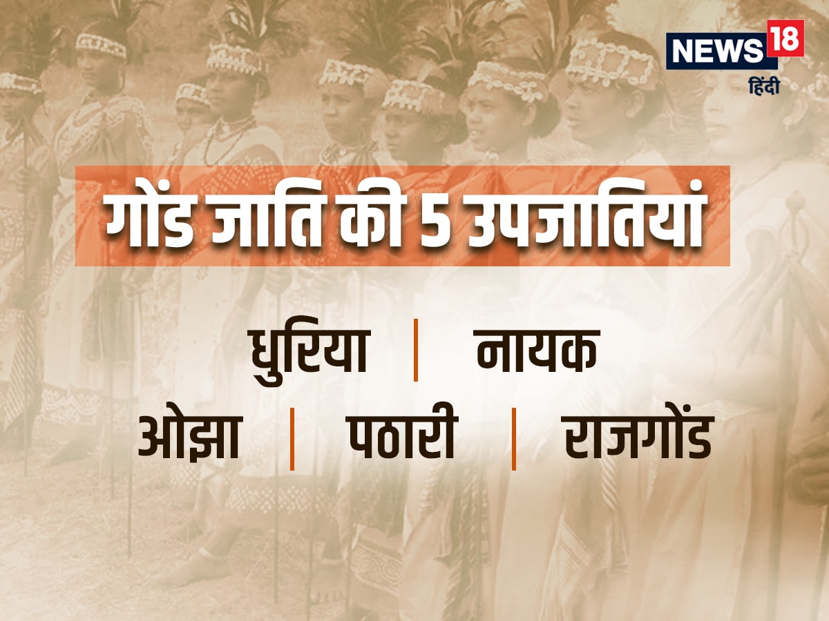 ST कैटेगरी में शामिल होने के बड़े हैं फायदे, जानें गोंड जाति की कितनी ...