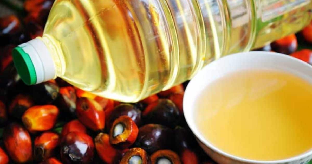 Palm Oil Benefits : इम्यूनिटी को बूस्ट करता है ताड़ का तेल! गर्भवती महिलाओं के लिए भी है जरूरी ...