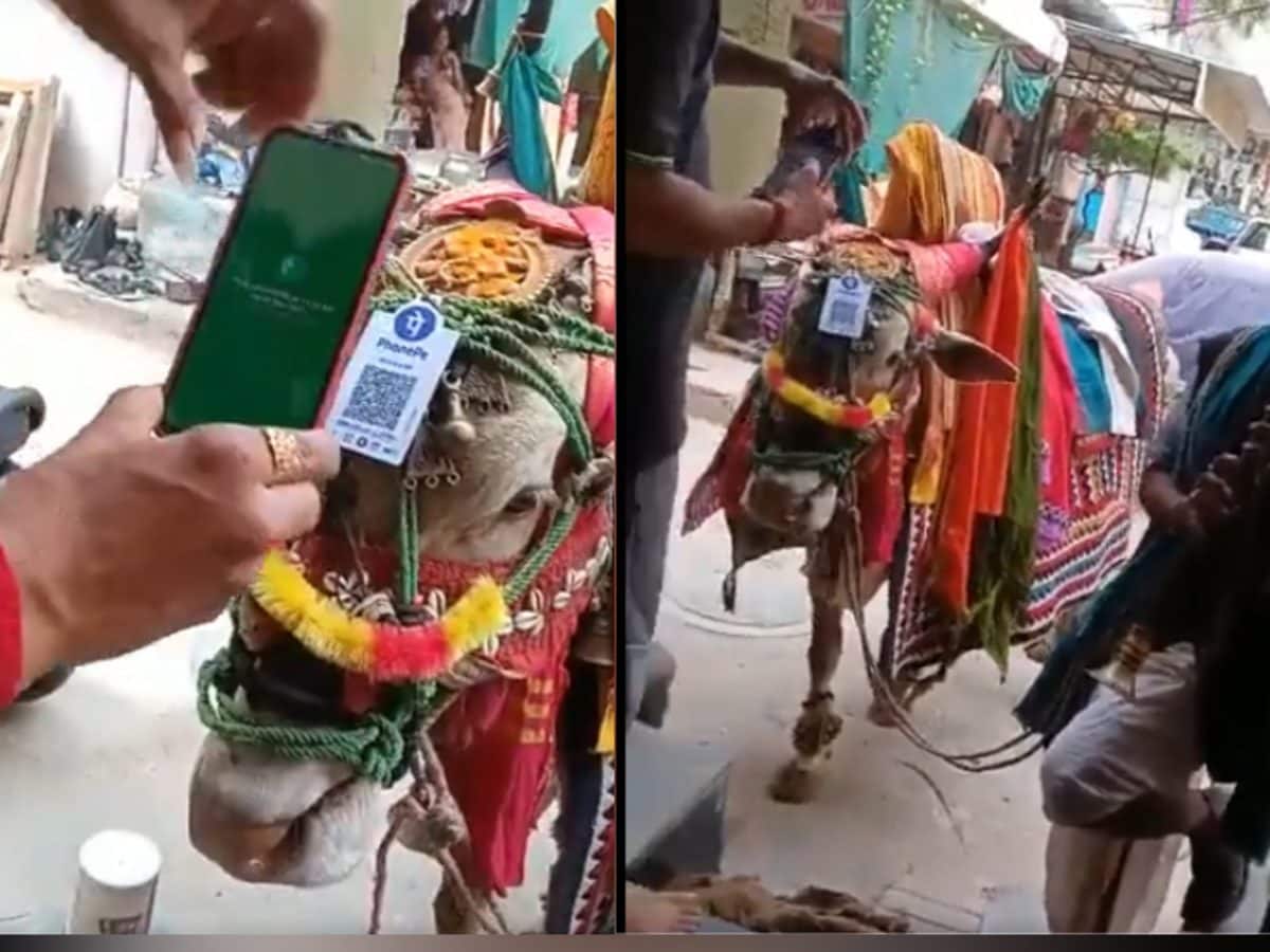 गौमाता भी बन गयी डिजिटल इंडिया का हिस्सा, अब नहीं चलेगा कैशलेस होने का ...