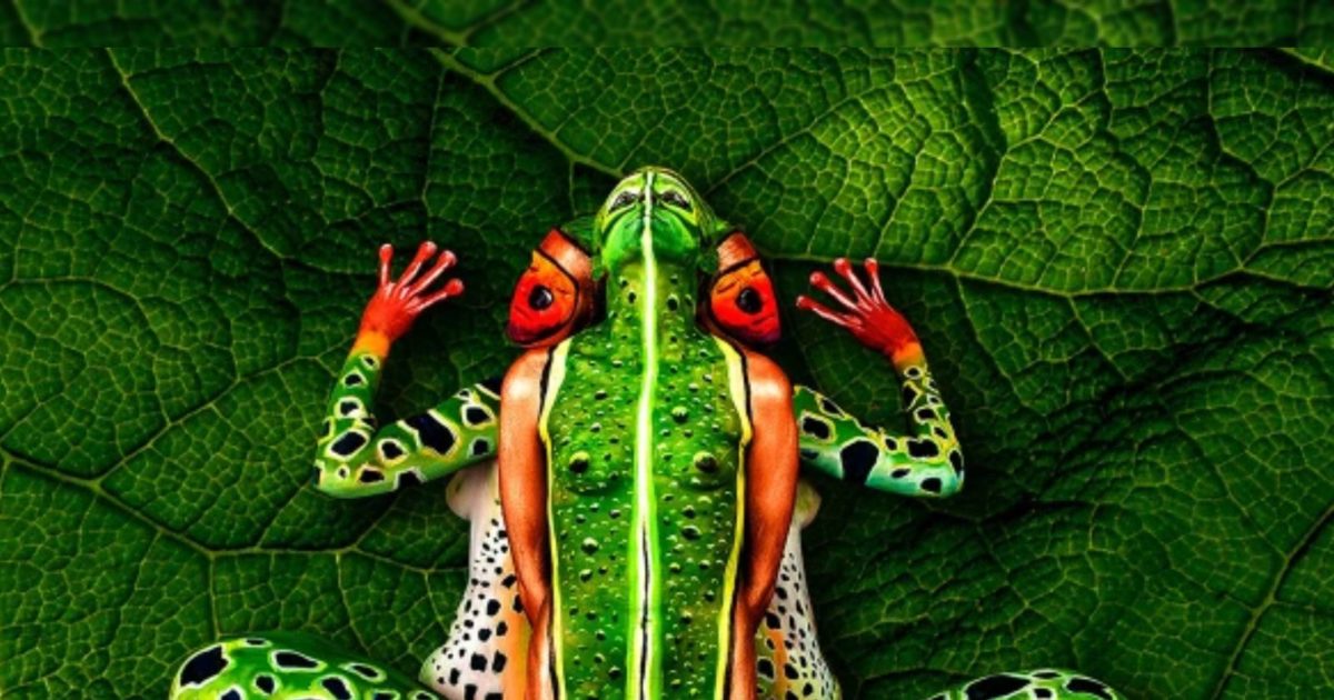 एक मेंढक में छिपी हैं 5 महिलाएं, कमाल के आर्टवर्क के अंदर रहस्य ढूंढने ...